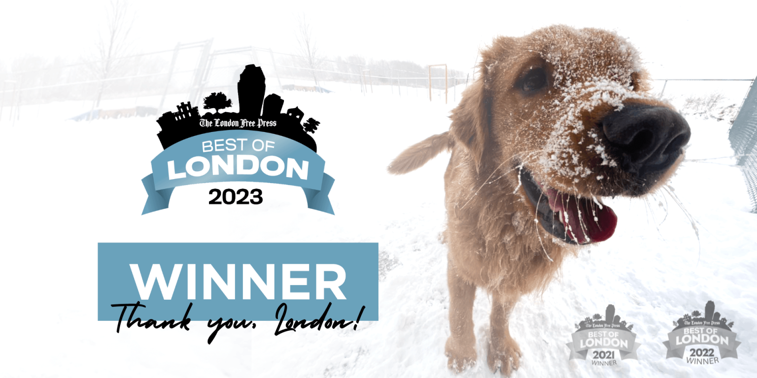 About Us | Country Paws